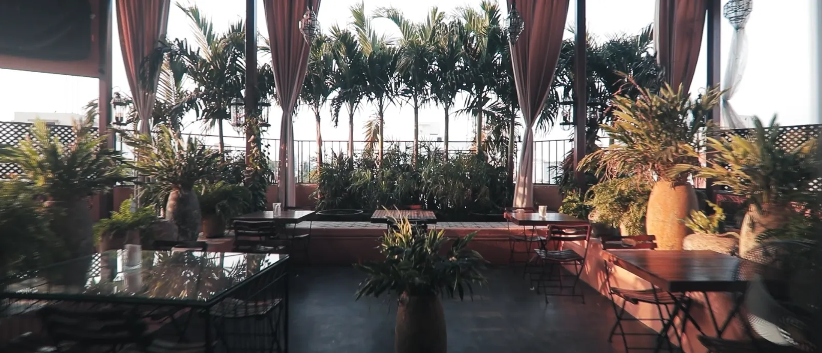 Midnight Sun - Best Rastaurant in Chennai